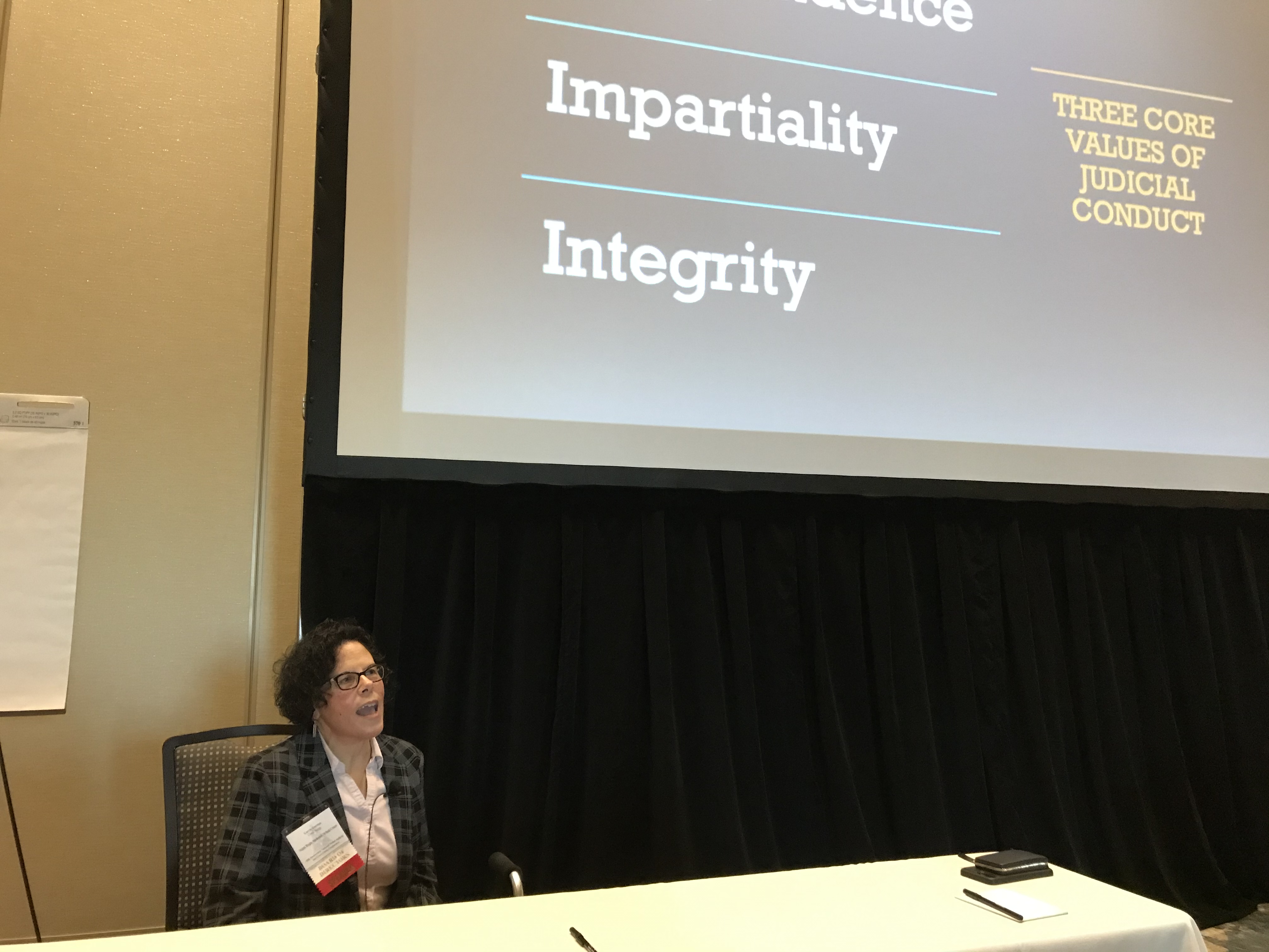 NAICJA Day 2 Panels – Turtle Talk