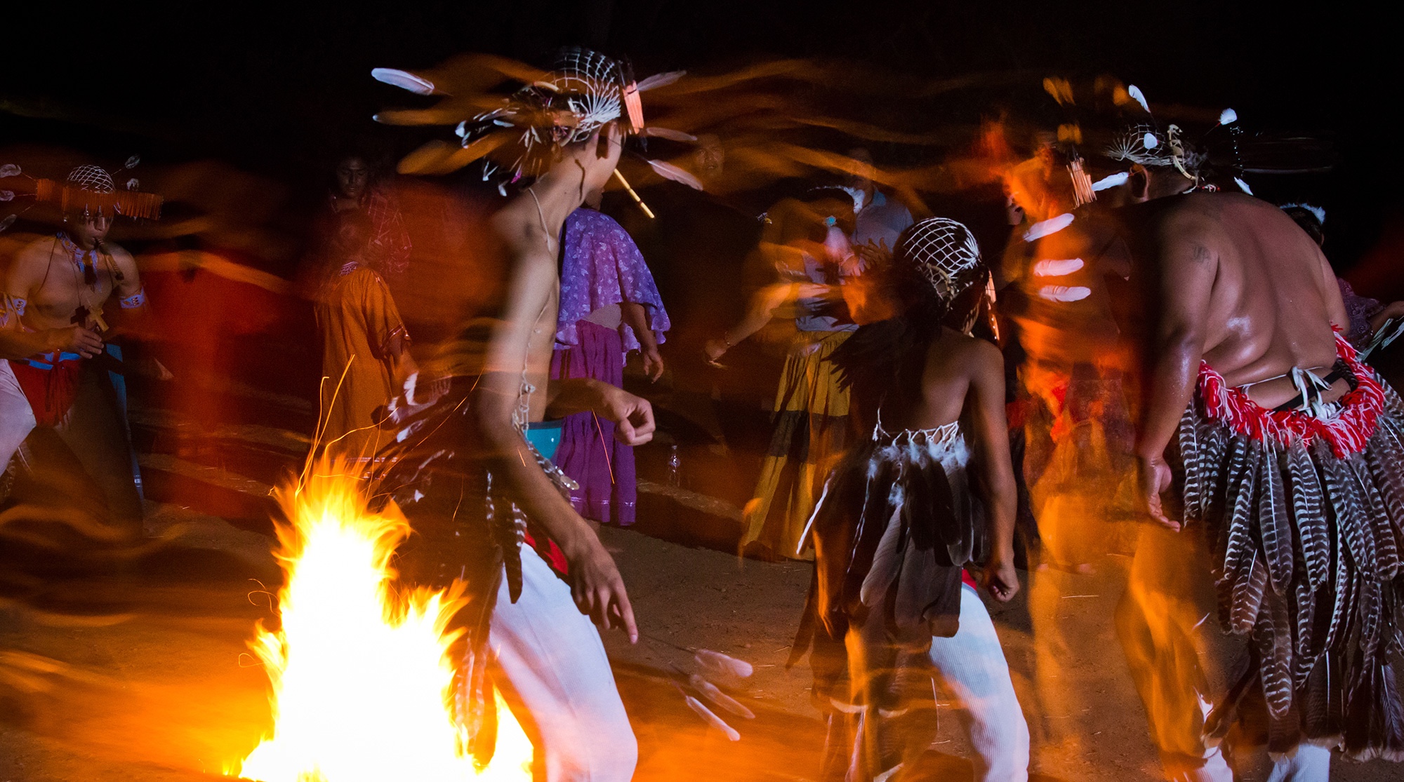 Fourth Circuit Affirms Hengle v. Treppa – Turtle Talk