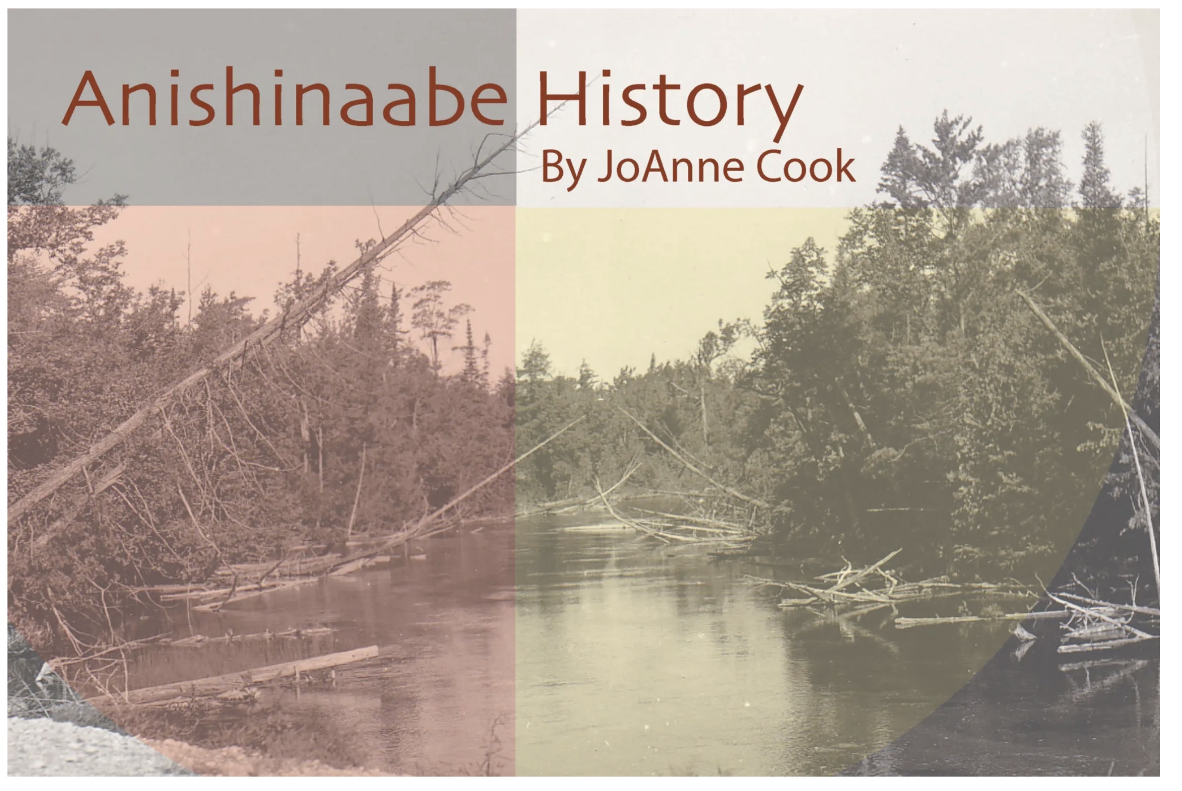 JoAnne Cook Talk on Indigenous Peoples’ Day – Turtle Talk