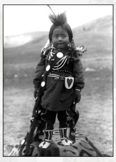 ABA SEER Native American Resources Committee Law Student Writing ...