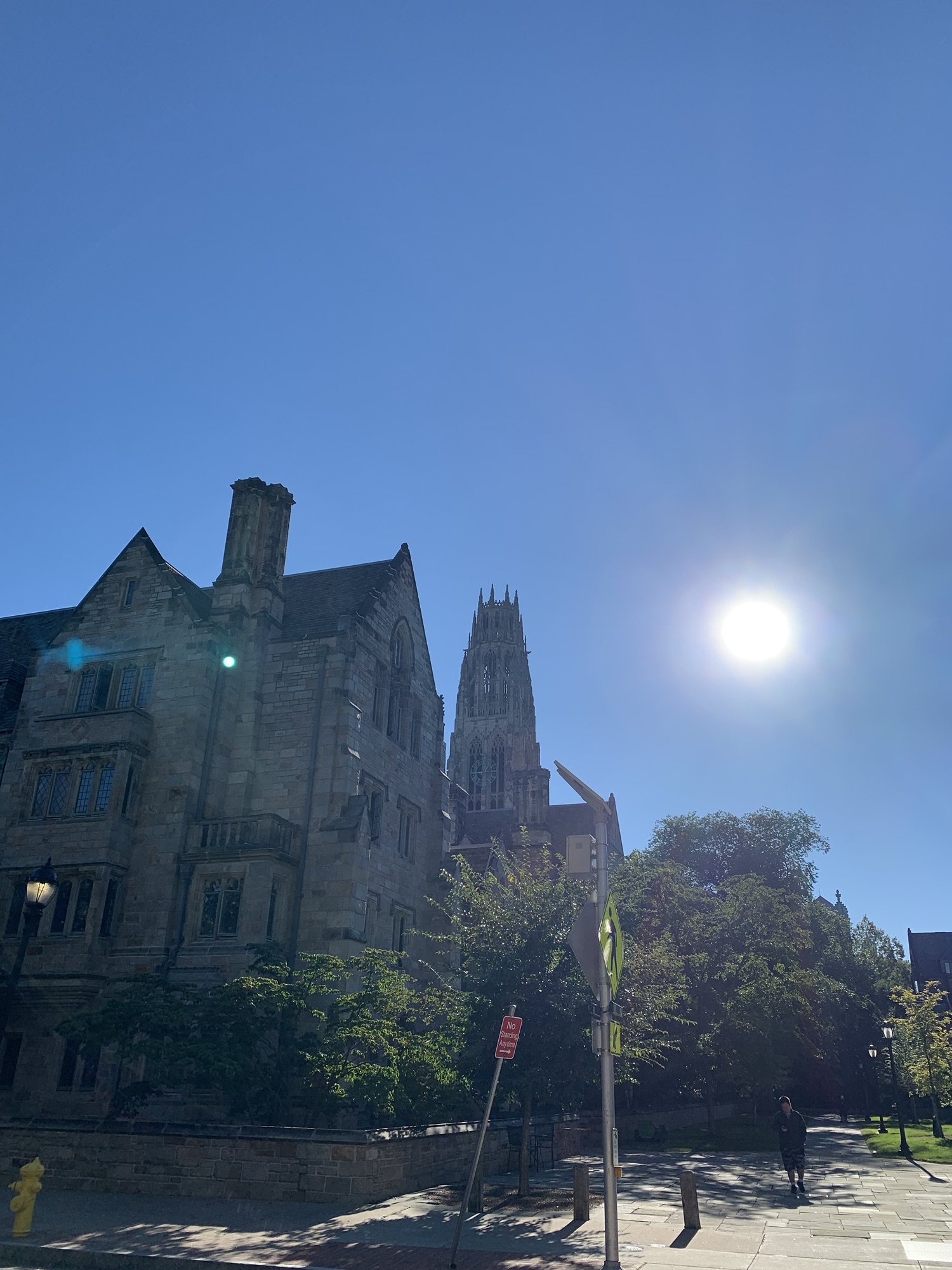 Yale Law Journal Submissions Now Open – Turtle Talk